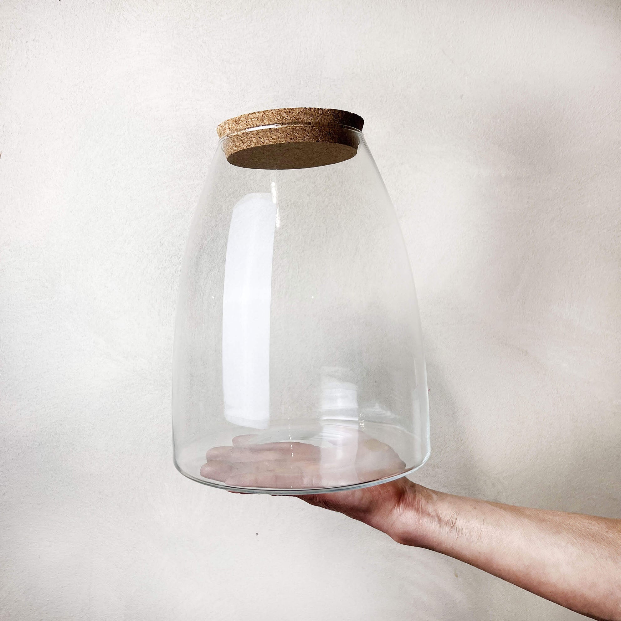 Contenitore in vetro per terrari /Tino